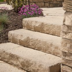 Rosetta Dimensional steps mimic rock-faced limestone steps